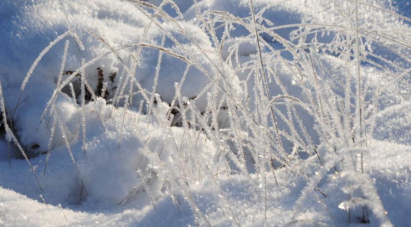 Up to 8cm of snow called for Saturday | NL Times