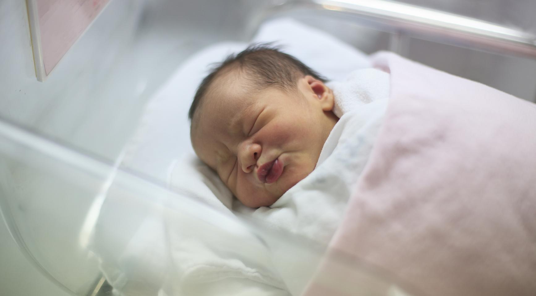 Flexible work, studies partly behind Netherlands' declining birth rate ...