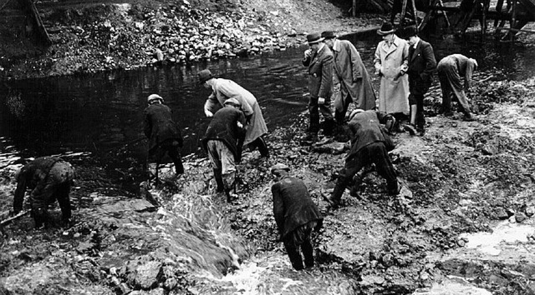 Digital archive of WWII forced laborers in the works | NL Times