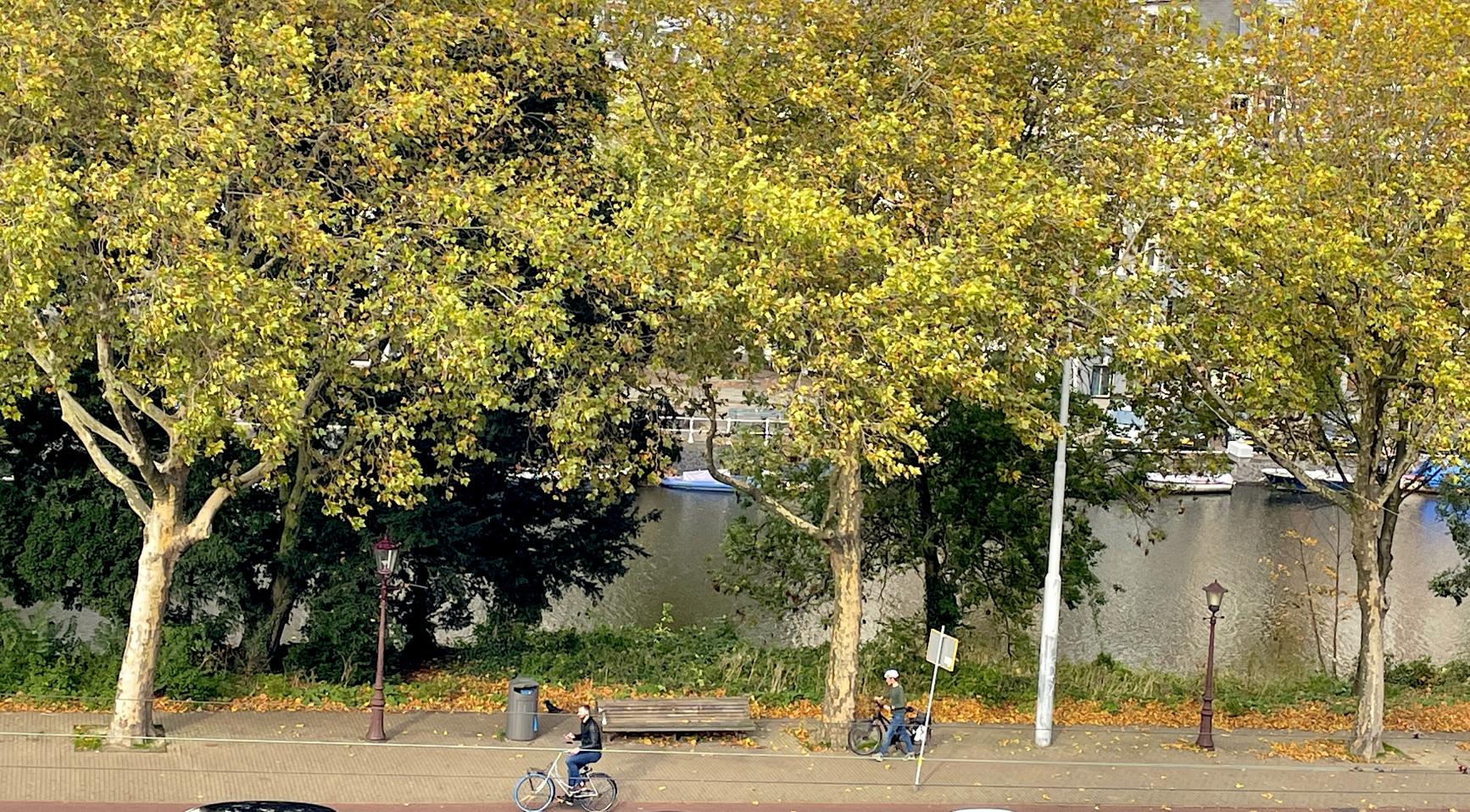 Netherlands sets new warm weather record for Oct. 28; Weekend could set ...