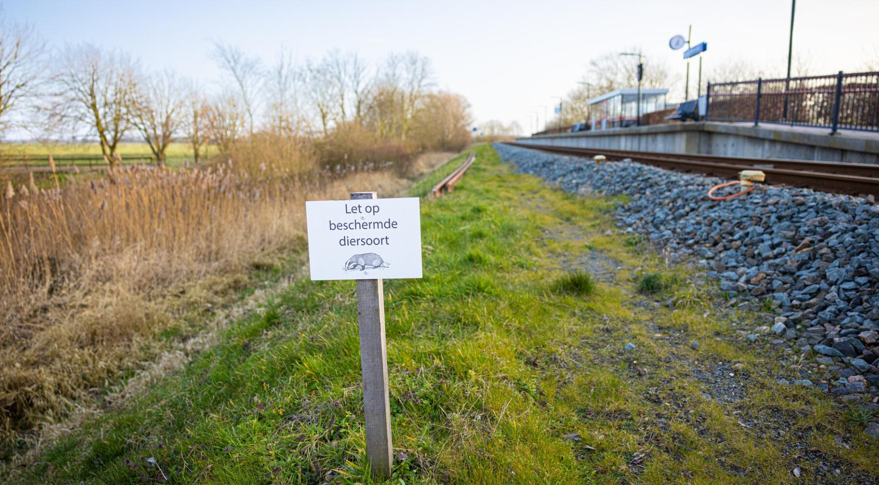 Artificial den built for badgers where burrowing threatened railroad ...