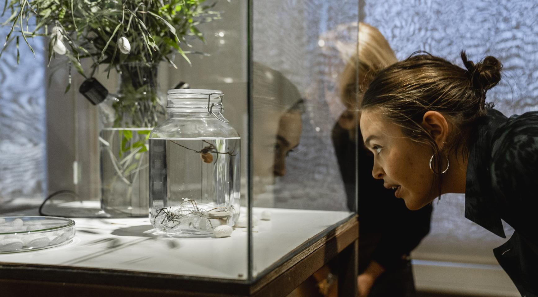 Female visual artists earn 20 percent less than male colleagues | NL Times