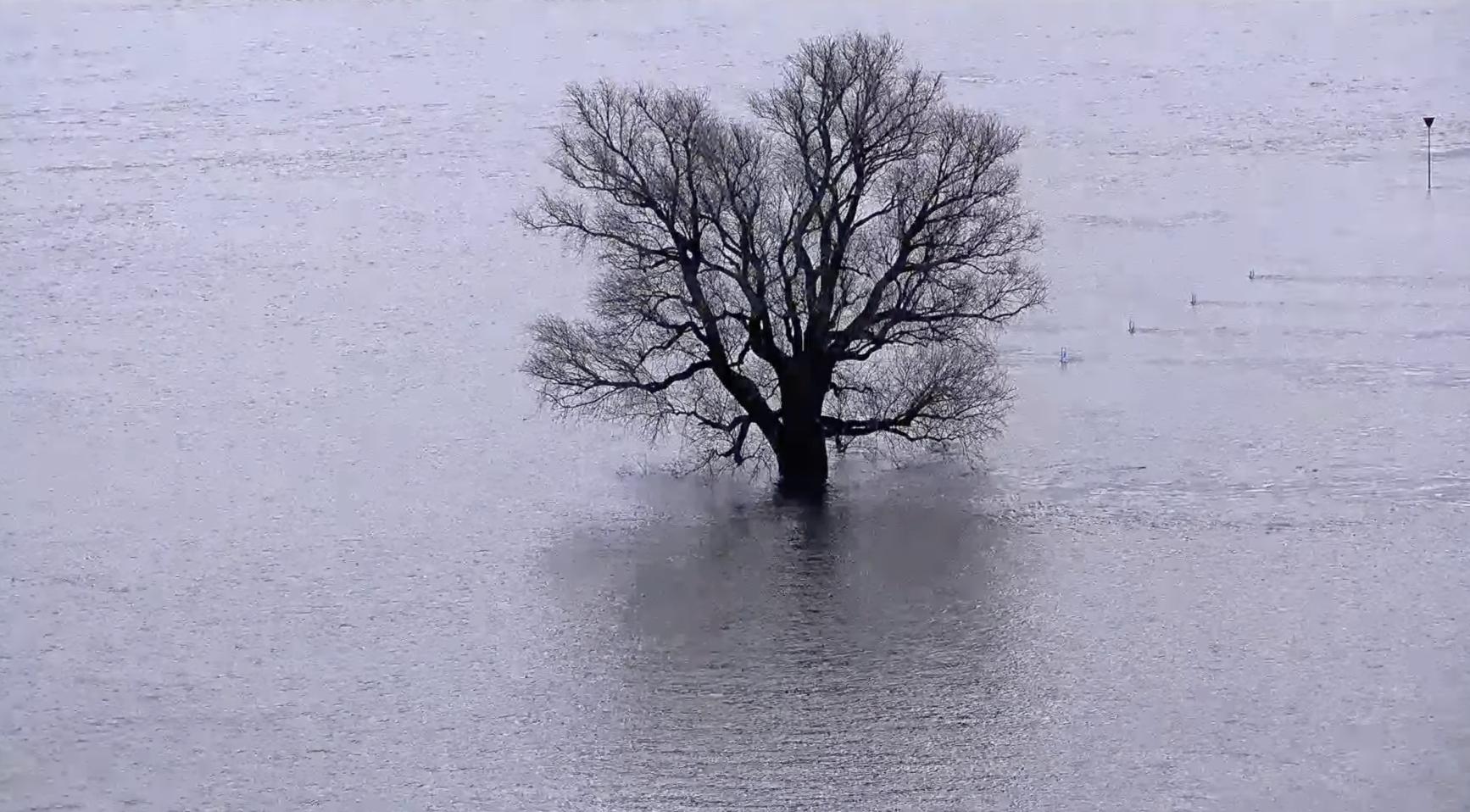Flooding in many parts of the Netherlands; Situation "closely monitored ...