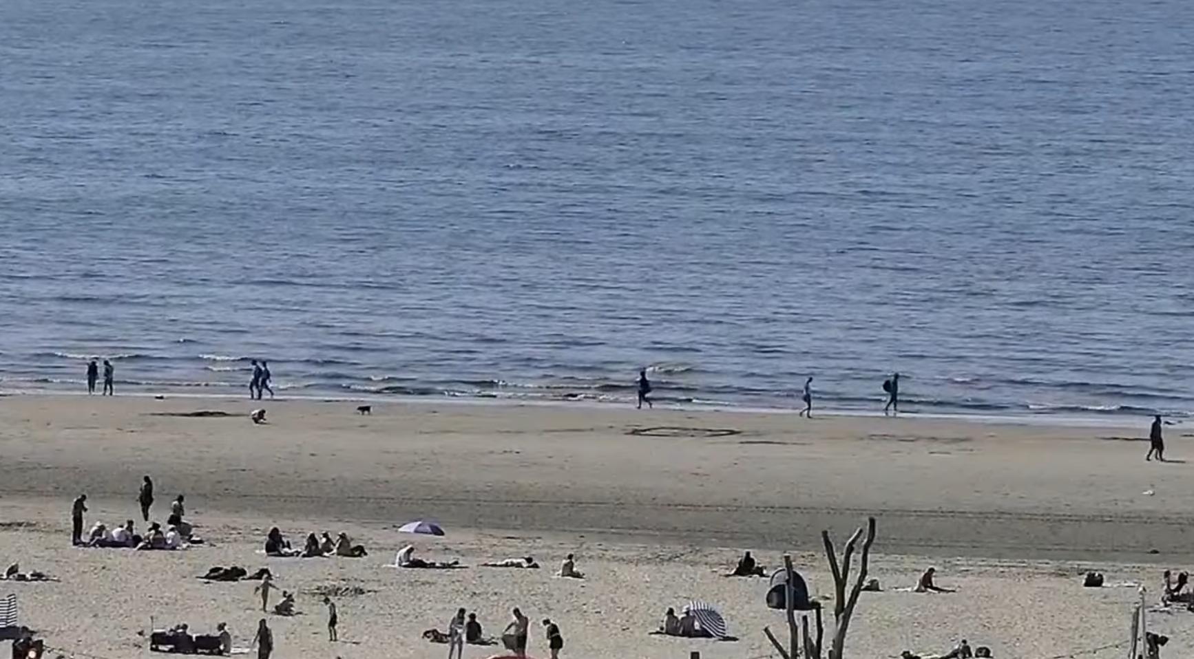 First official summer day arrives in the Netherlands earlier than usual ...