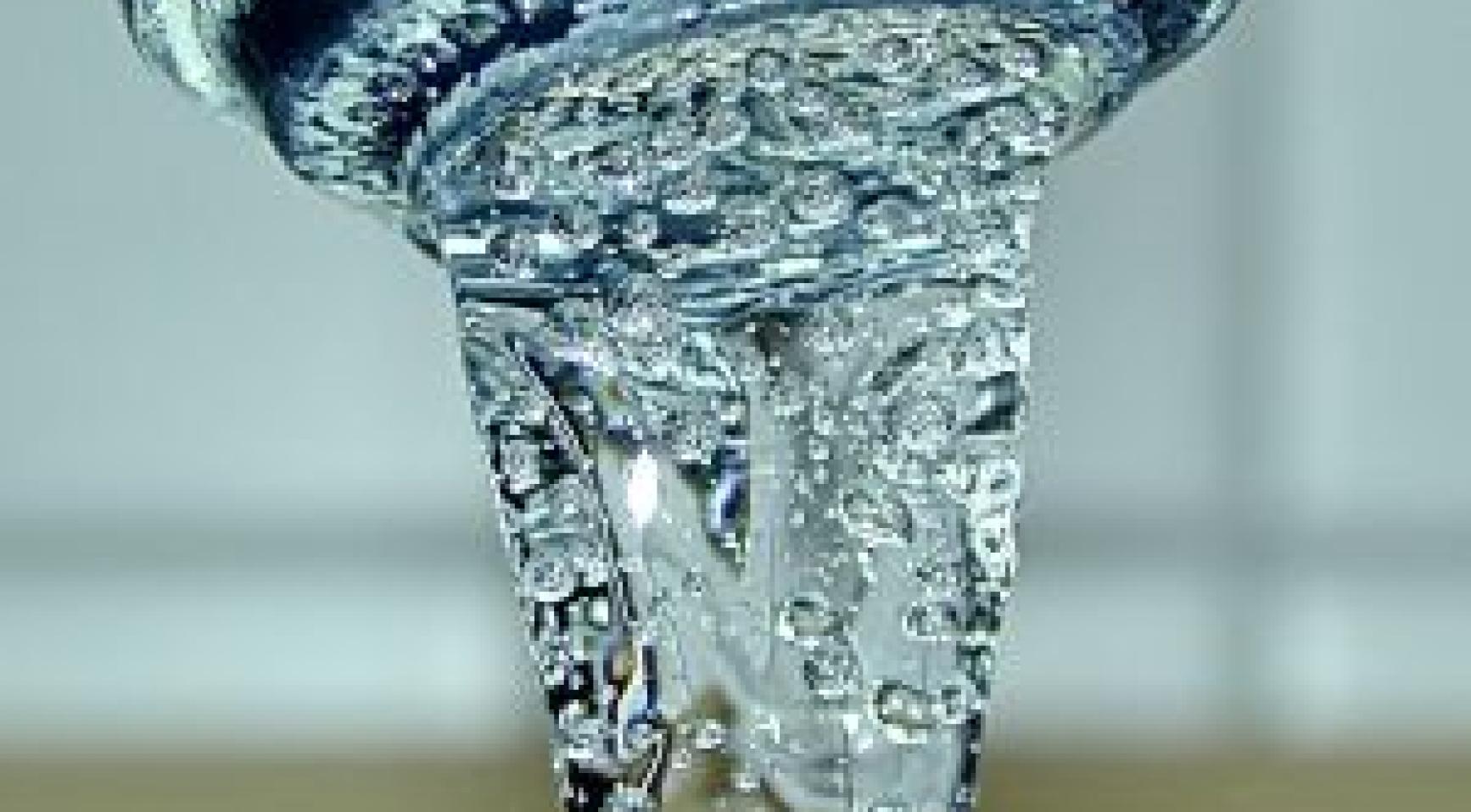 Dutch tap water more expensive due to poison in pastures: water company ...