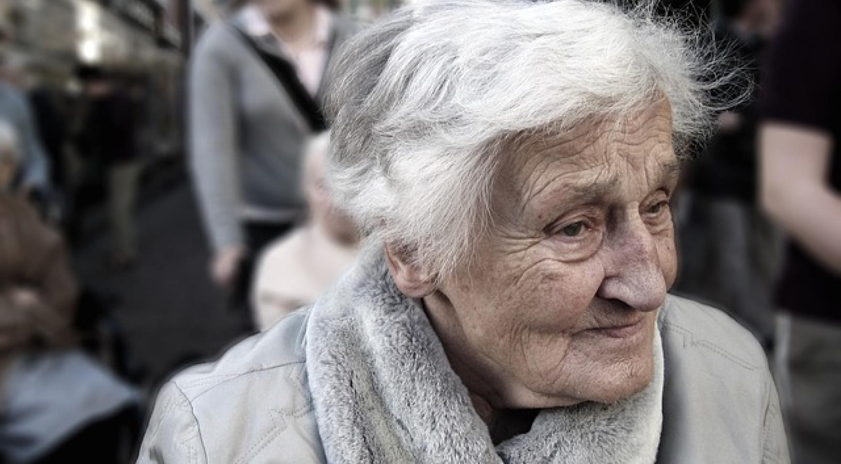 More Dutch people living alone, especially older women | NL Times