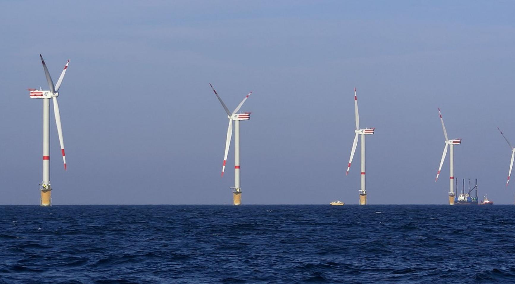 Netherlands adds 20 percent wind energy capacity | NL Times