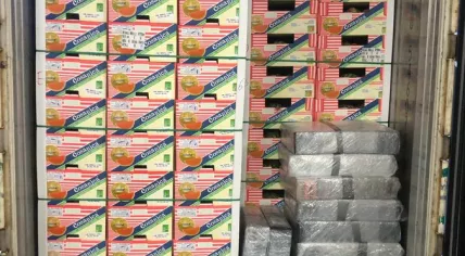 Fruit company workers find 330 kilos of cocaine in melon shipment from ...