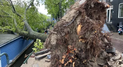 In Pictures: Amsterdam warns of ongoing problems as Code Orange warning ...