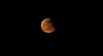 Netherlands to witness partial lunar eclipse on October 28 | NL Times