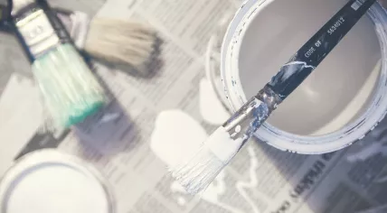 How to buy Affordable paint in The Netherlands | NL Times