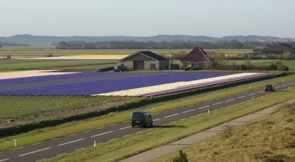 Netherlands agricultural exports hit new high | NL Times